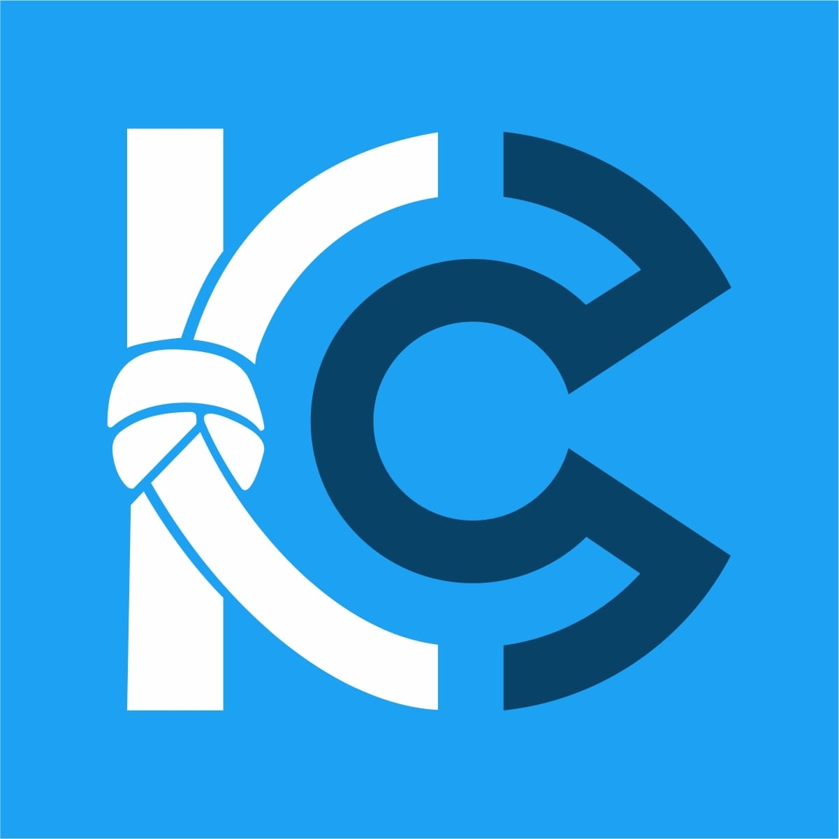 Care India Welfare Trust: Transforming Lives, Building Futures